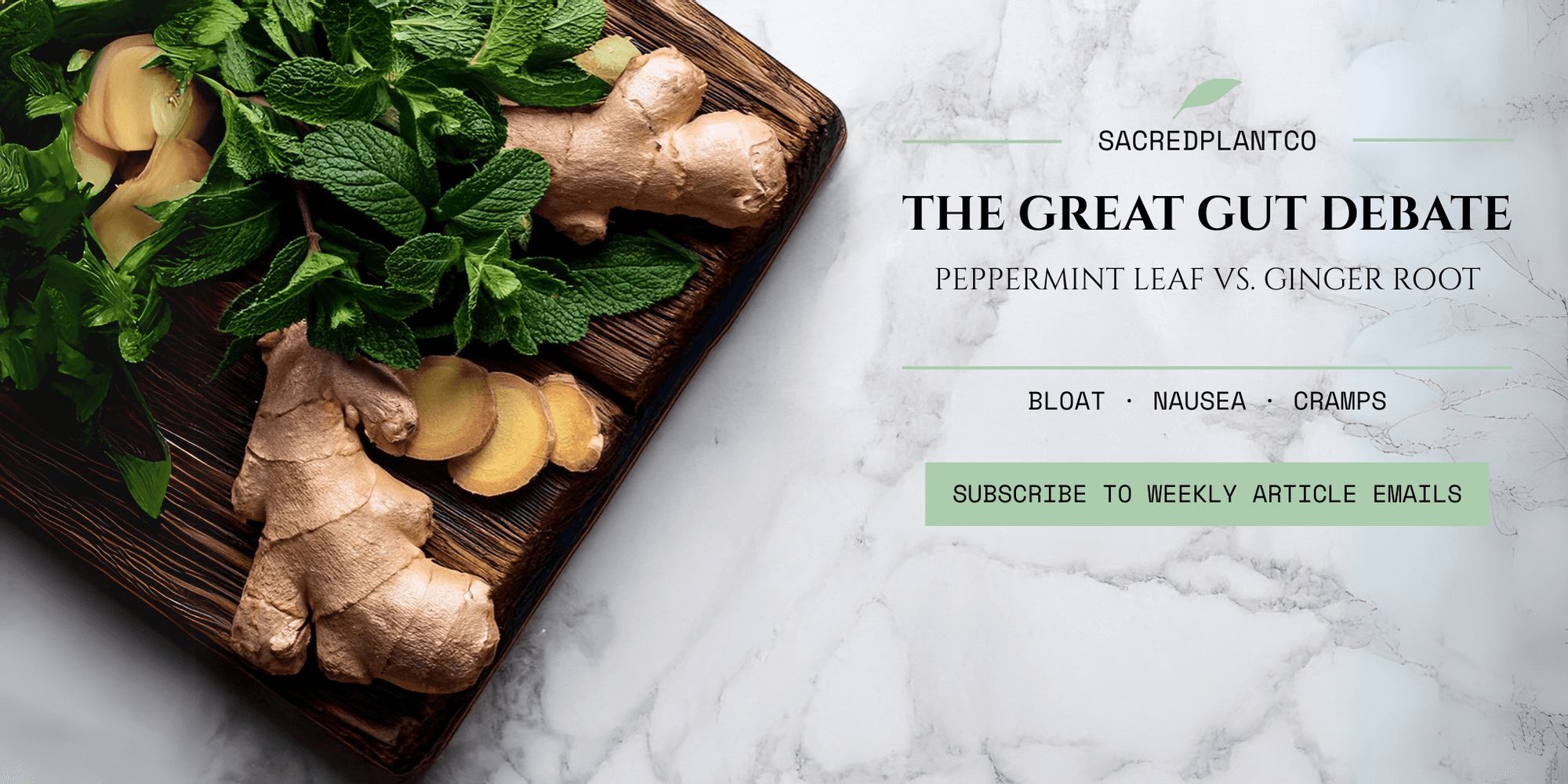 Peppermint vs. Ginger: Which Soothing Herb Is Best for Your Gut and Di ...