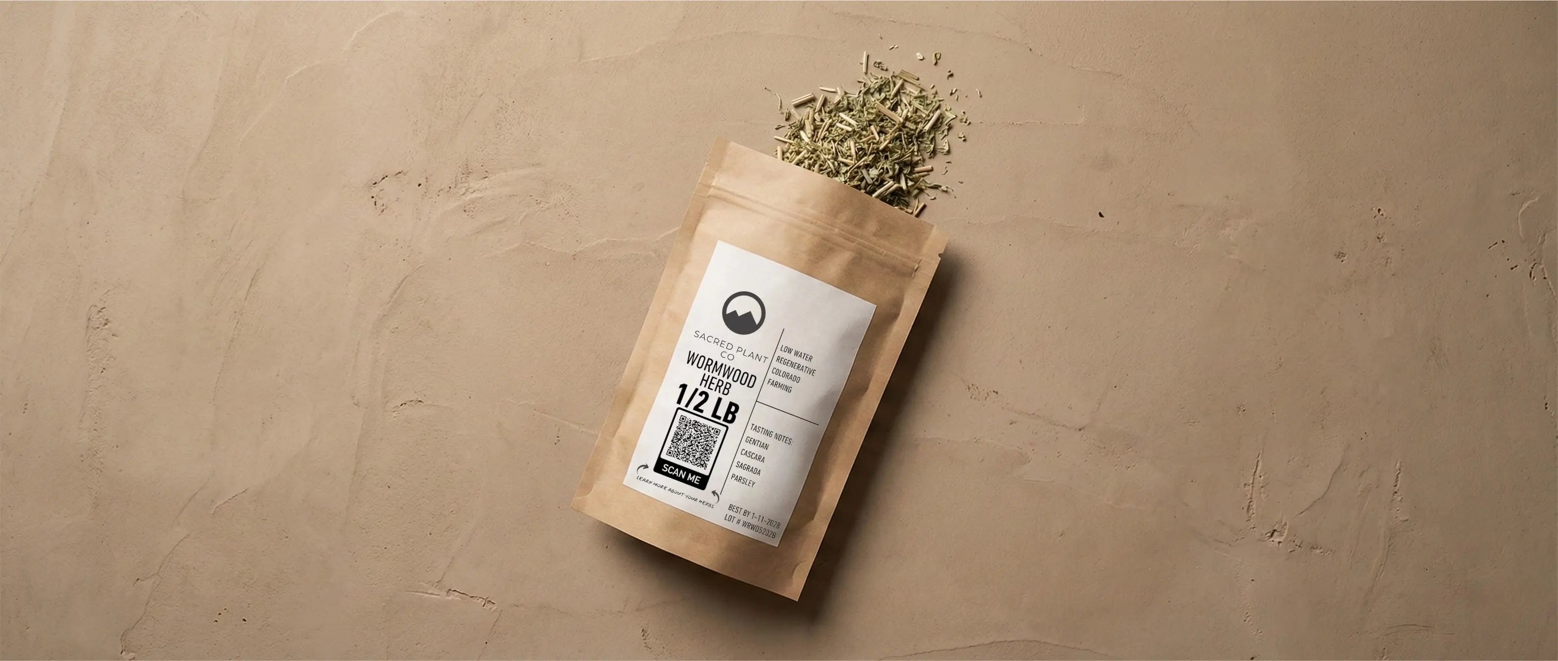 Discover wormwood's rich history from ancient medicine to absinthe cul ...