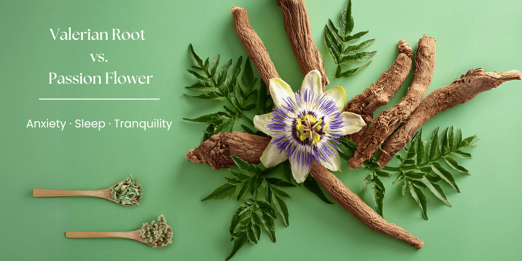 Valerian Root vs. Passionflower: Which Herbal Sleep Aid Is Best for Re ...