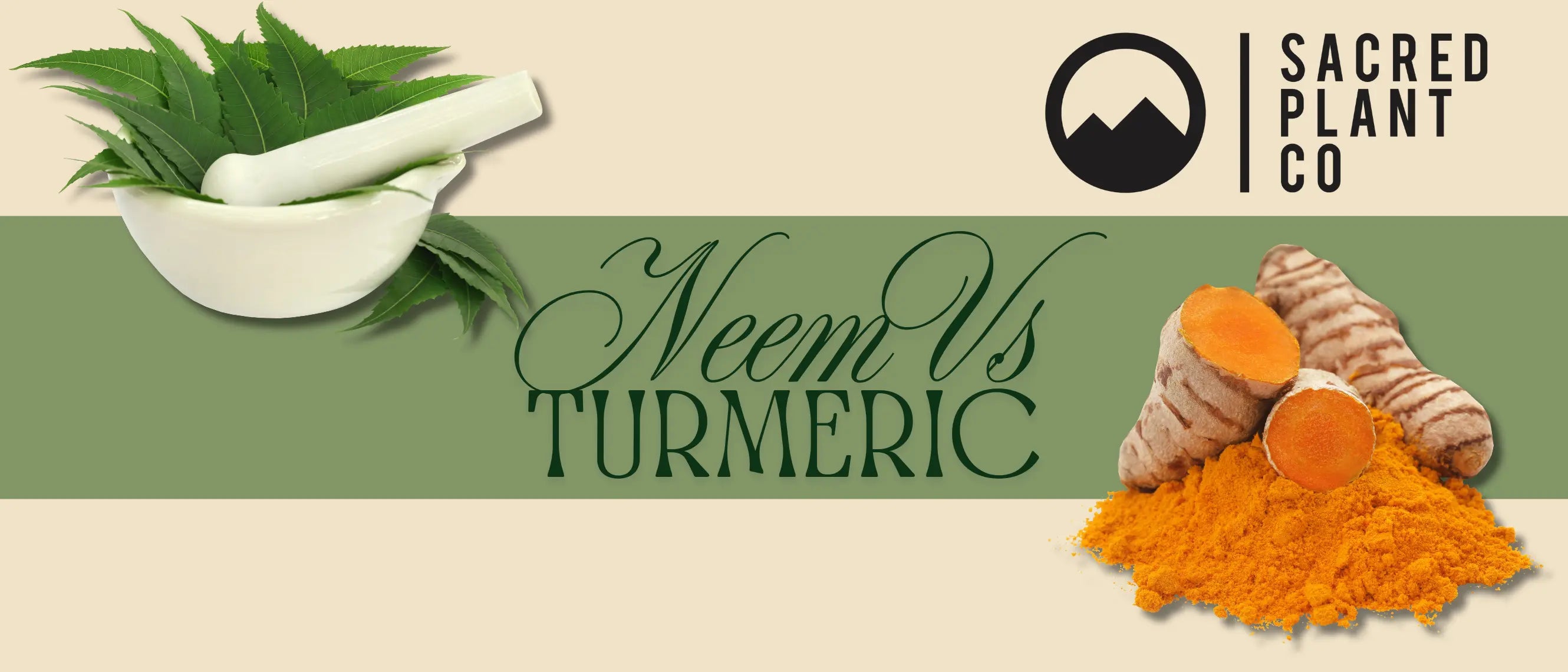 Neem vs Turmeric for Acne: Ayurvedic Remedies Compared – Sacred Plant Co