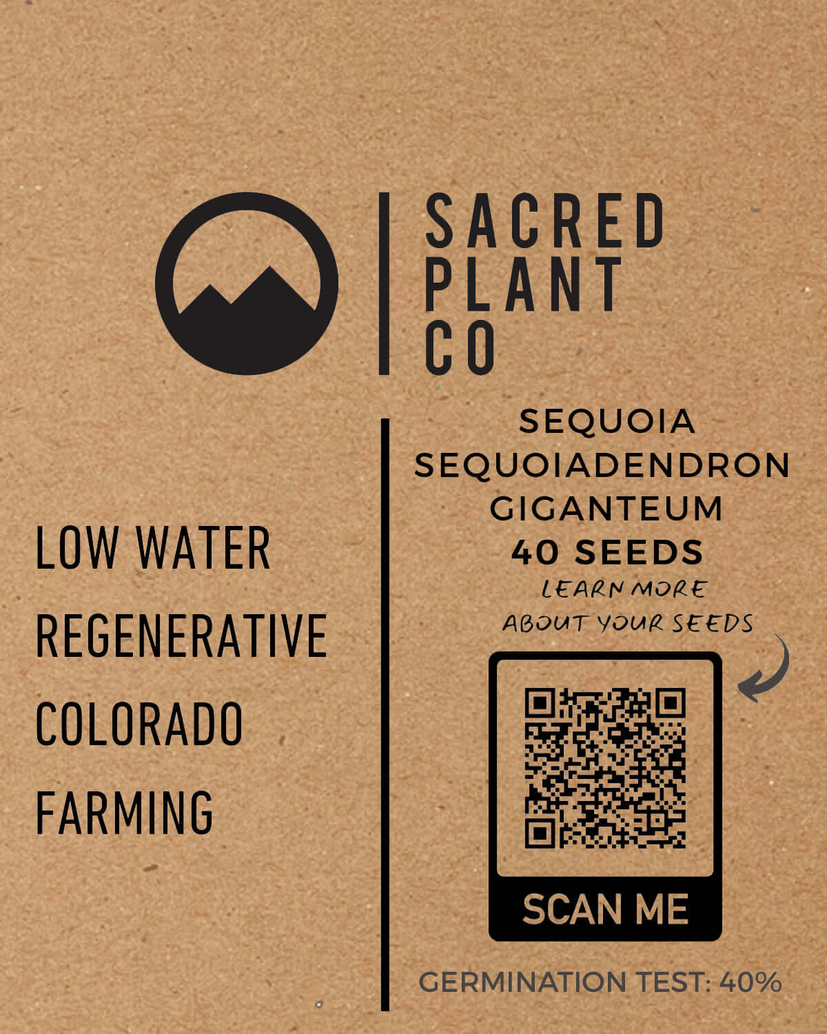 Giant Sequoia Redwood Tree Seeds | Redwood Tree Seeds | Giant Sequoia ...
