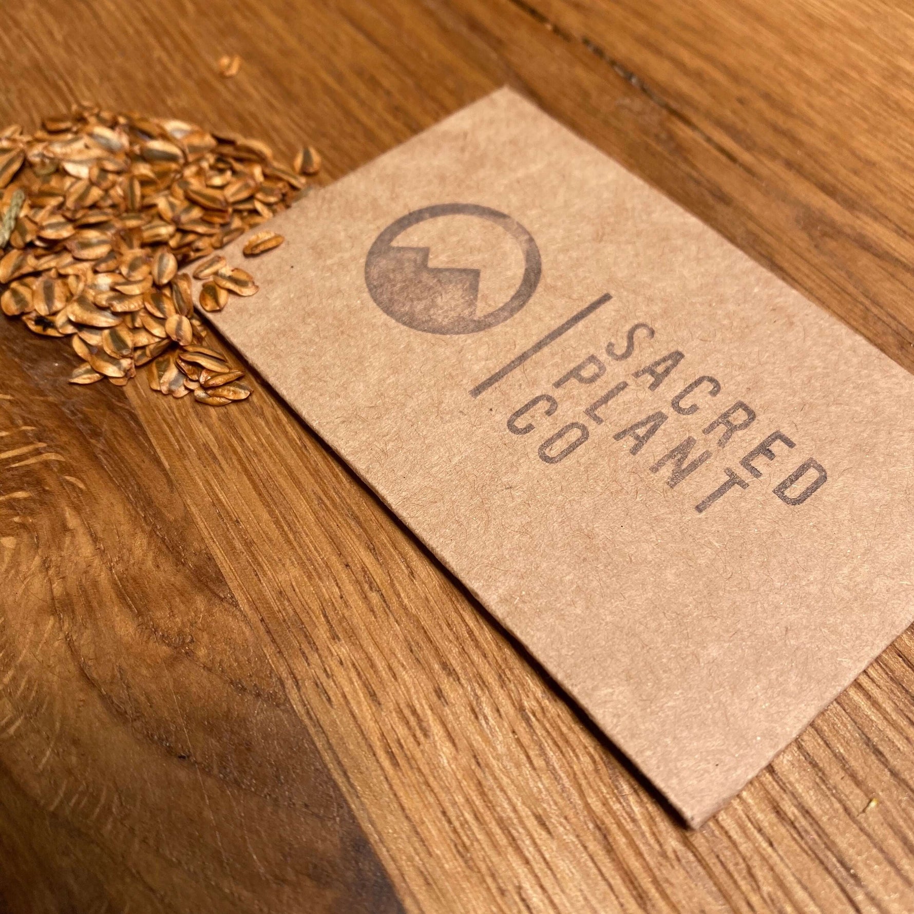 Giant Sequoia Redwood Tree Seeds | Redwood Tree Seeds | Giant Sequoia ...