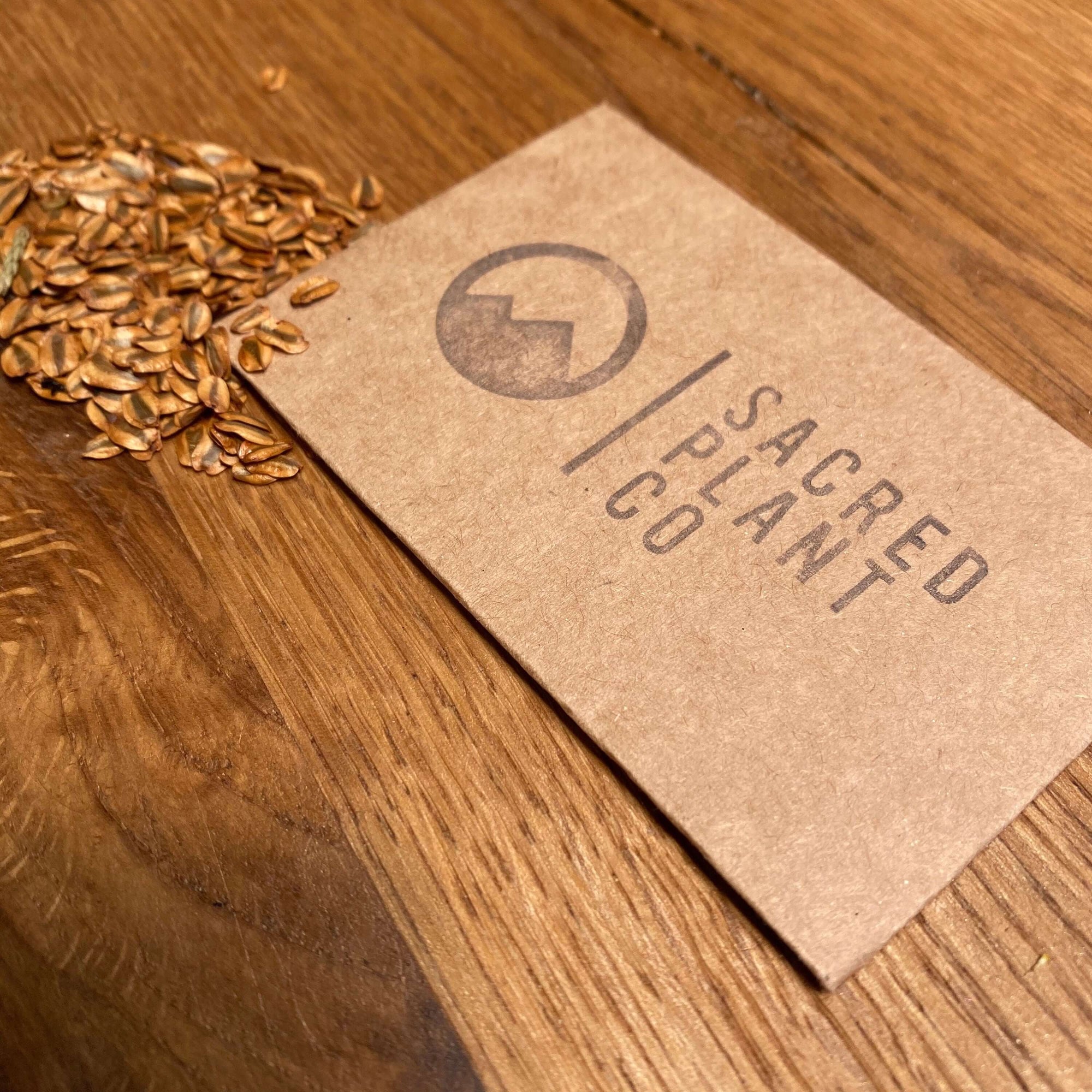 Giant Sequoia Redwood Tree Seeds | Redwood Tree Seeds | Giant Sequoia ...