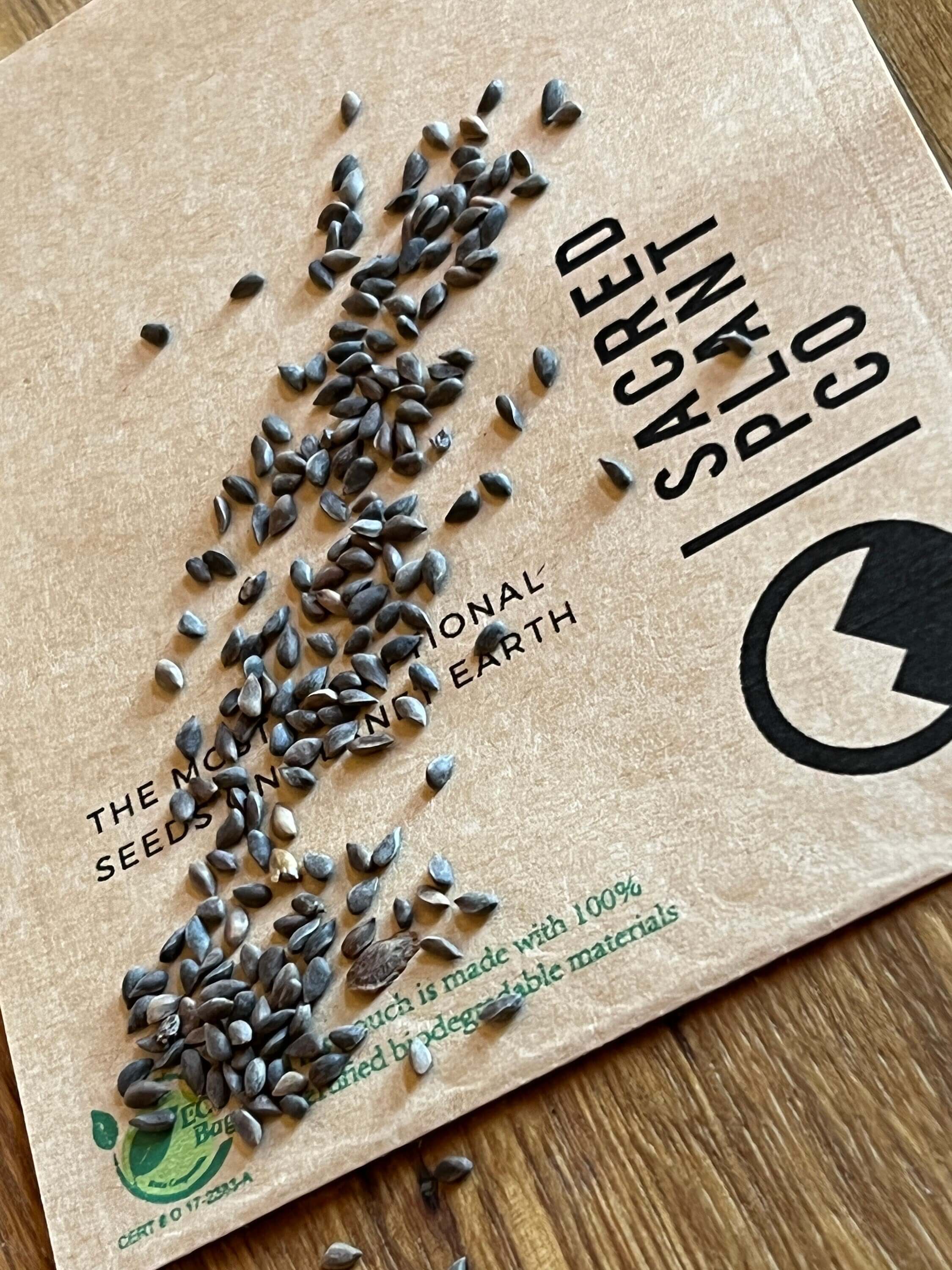 Blue Spruce Seeds | Colorado Blue Spruce Tree Seeds | Picea pungens ...